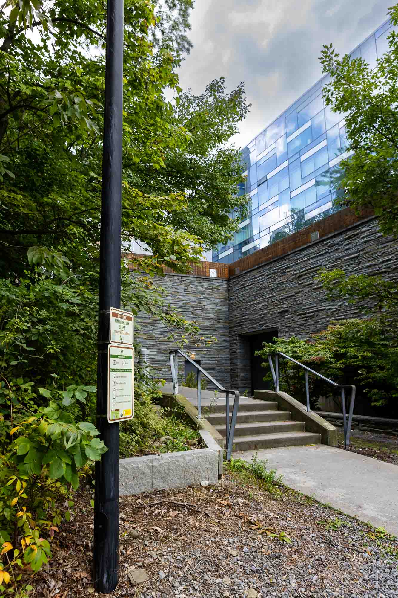 Mann Library Slope Natural Area - Ithaca Trails